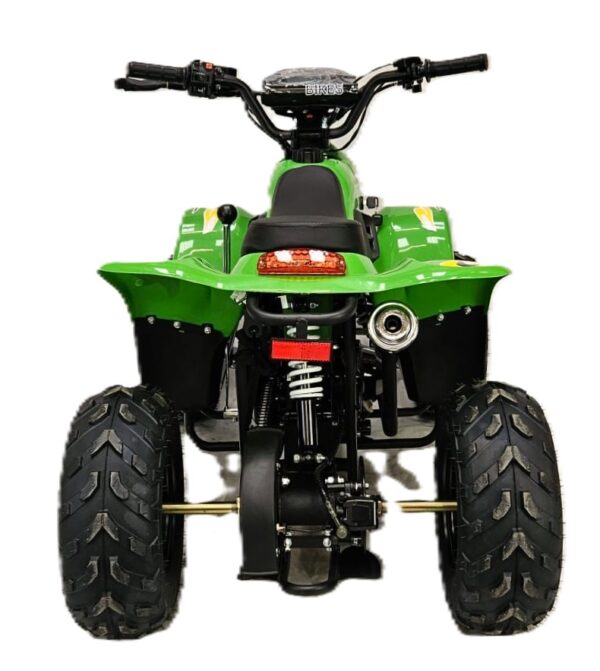 110cc Quad Bike – Green – Aria Bikes
