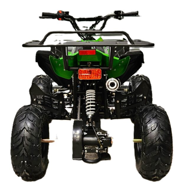 110cc – Stingray Quad Bike – Green – Aria Bikes